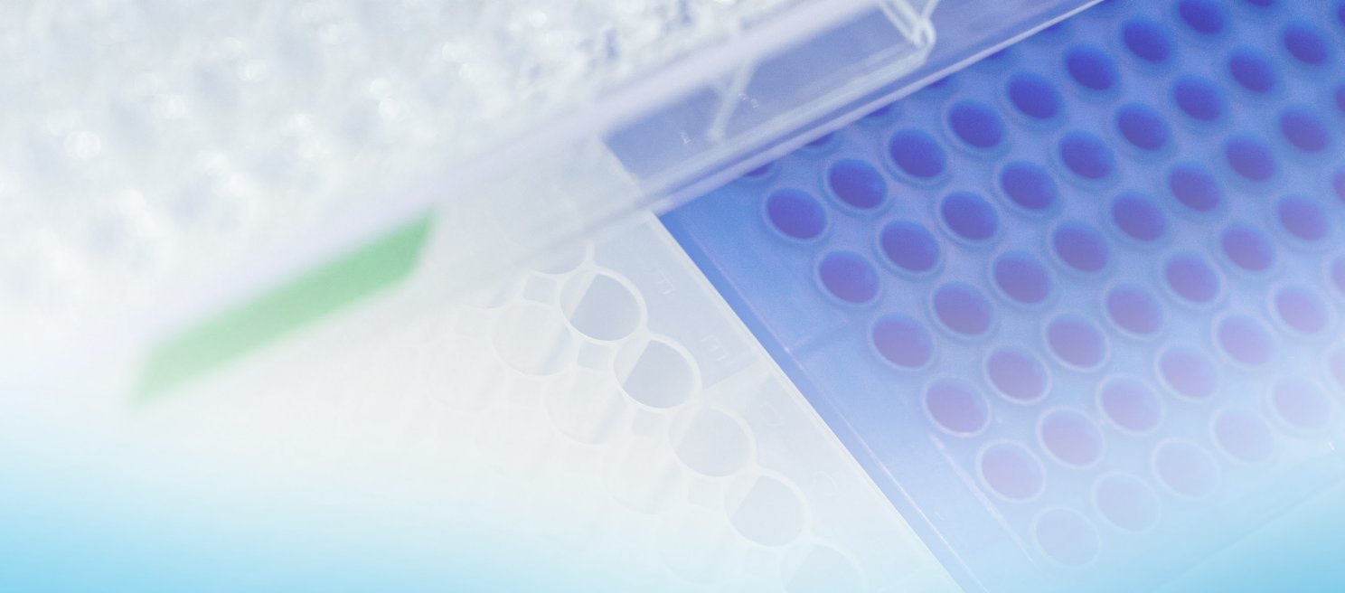 Chemspec Europe 2023