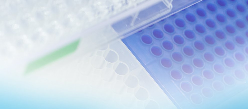 Chemspec Europe 2023